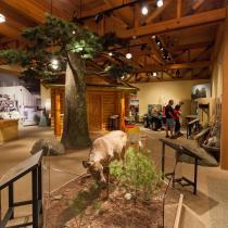 Forest History Center | Minnesota Historical Society
