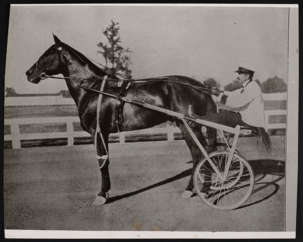 Dan Patch | MNopedia