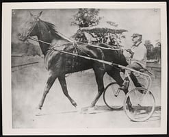 Dan Patch | MNopedia