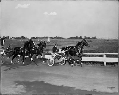 Dan Patch | MNopedia