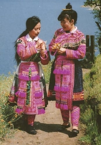 Hmong and Hmong Americans in Minnesota | MNopedia