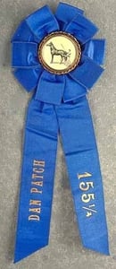 Dan Patch | MNopedia