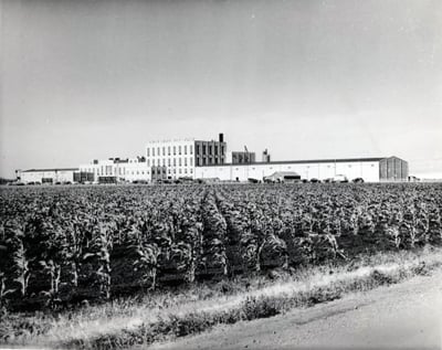 American Crystal Sugar Company | MNopedia