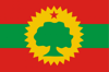 Oromos in Minnesota: The Making of Little Oromia | MNopedia