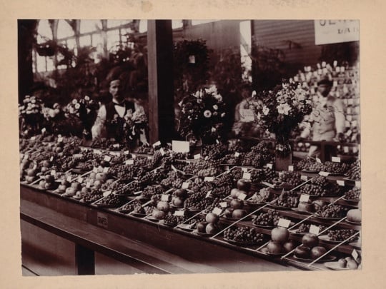 Minnesota State Horticultural Society | MNopedia