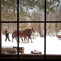 Forest History Center | Minnesota Historical Society
