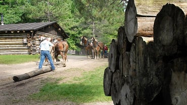 Forest History Center | Minnesota Historical Society