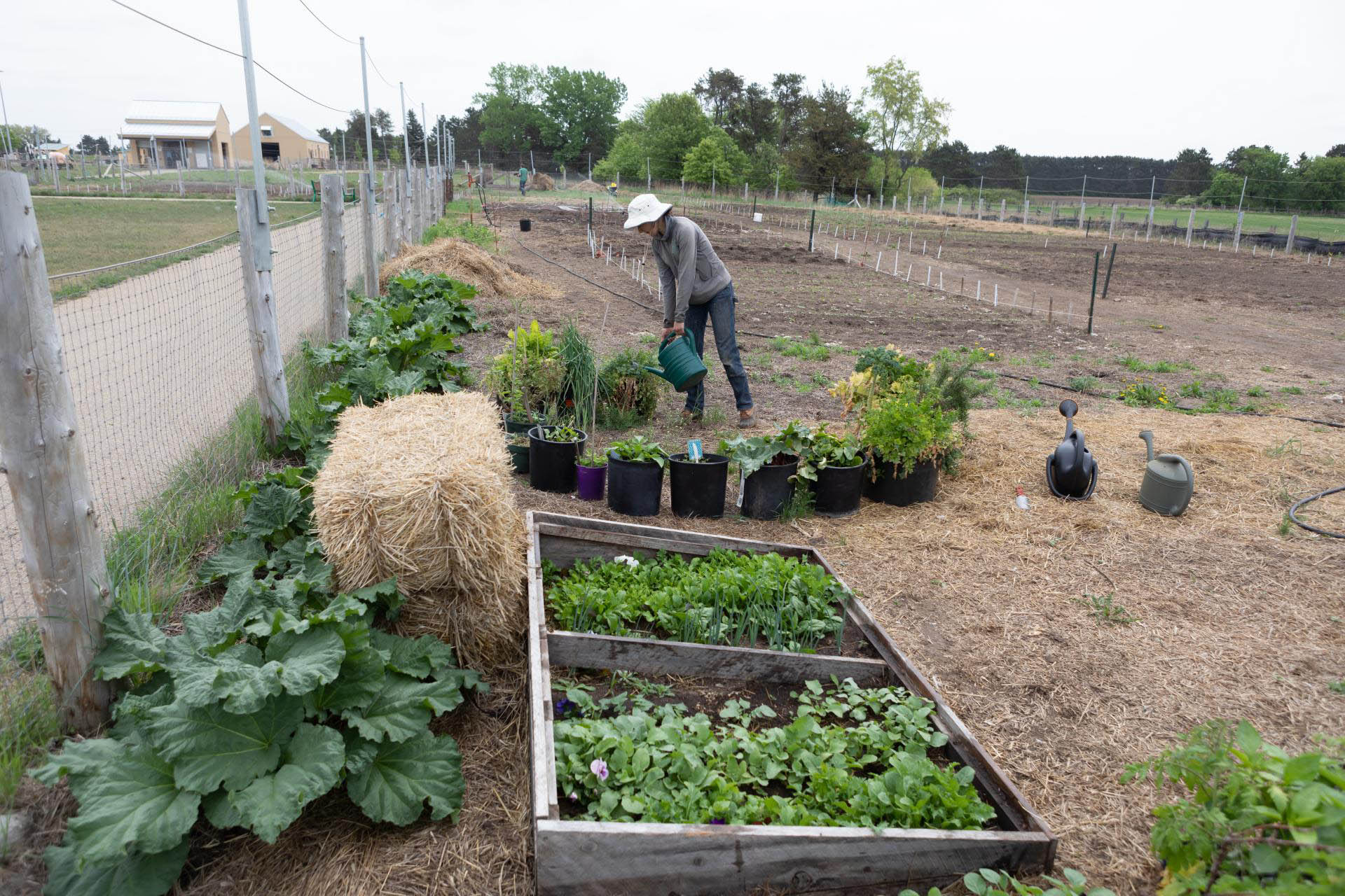 Oliver Kelley Farm | MNHS