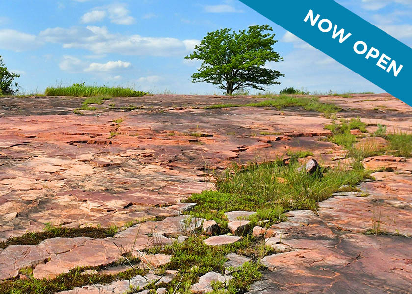 Jeffers Petroglyphs | MNHS