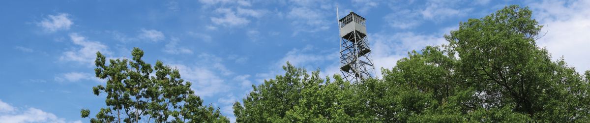 Fire Tower and Forest Service Cabin | Forest History Center | MNHS