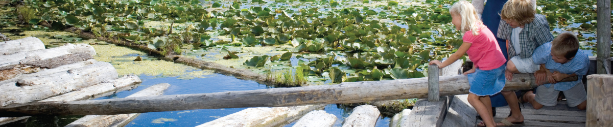 River Wanigan | Forest History Center | MNHS