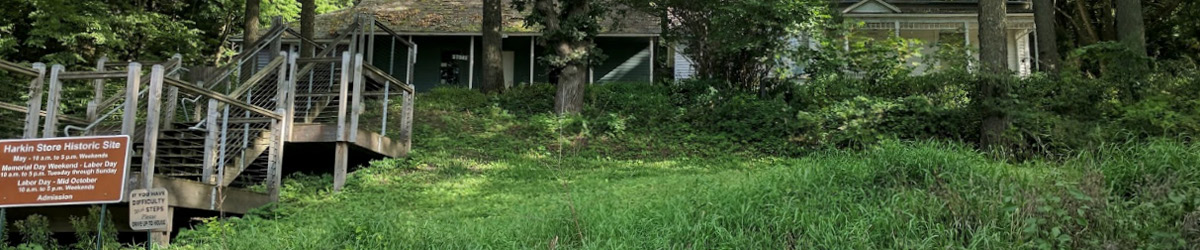 Accessibility | Harkin Store | MNHS