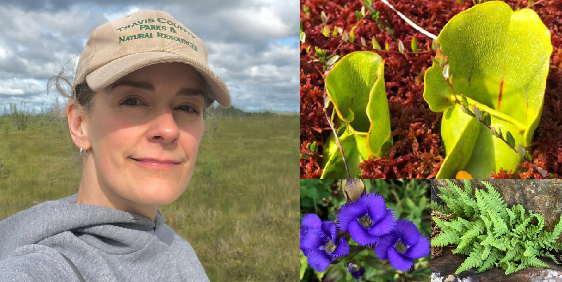 Forest History Center | MNHS