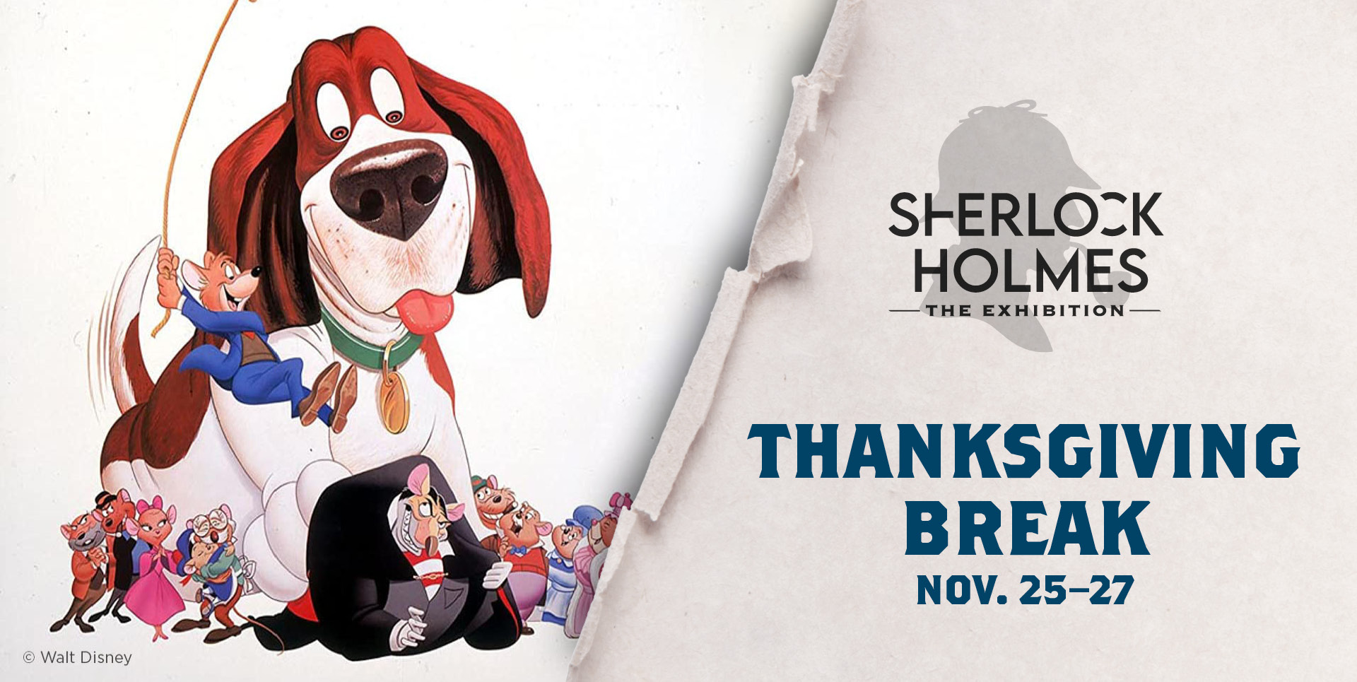 Minnesota History Center | MNHS